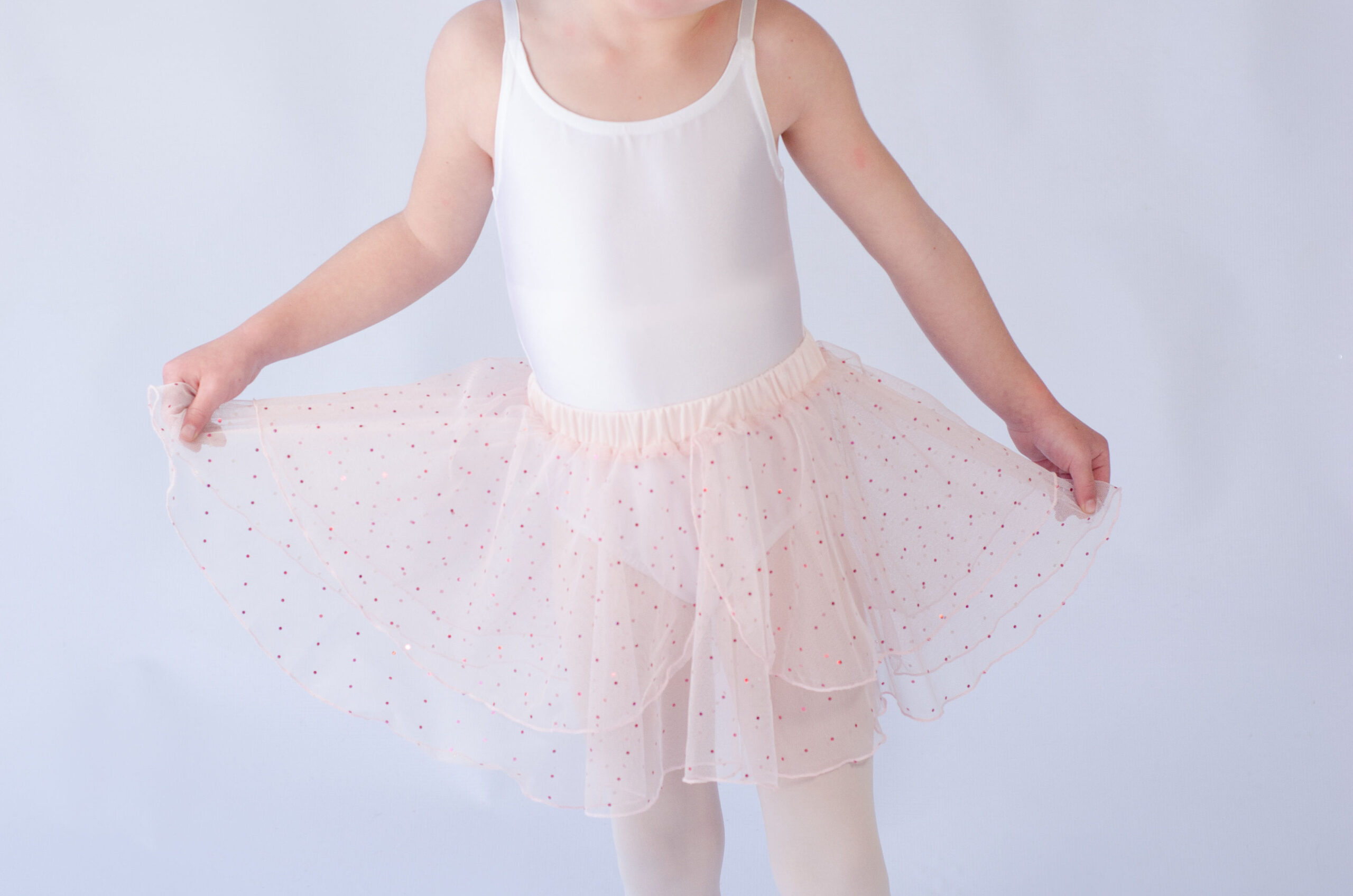 Coppélia Organza & Netting Flare Skirt | Ballet & Lingerie